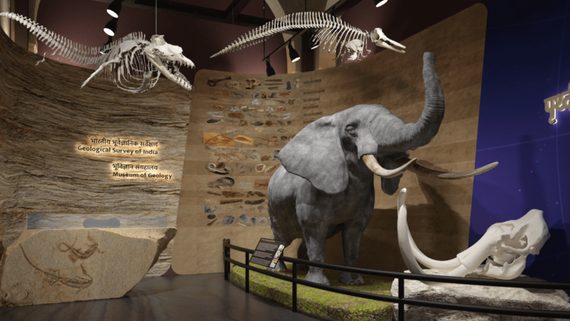 GSI Museum, Gwalior | EuMo